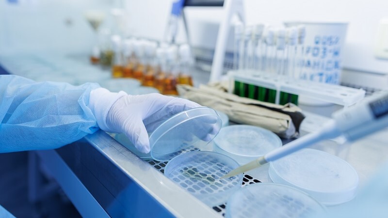 Bioproduction : comment créer les conditions d’un passage à l’échelle ...